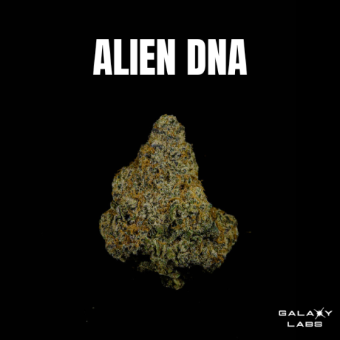 Strains | Galaxy Labs