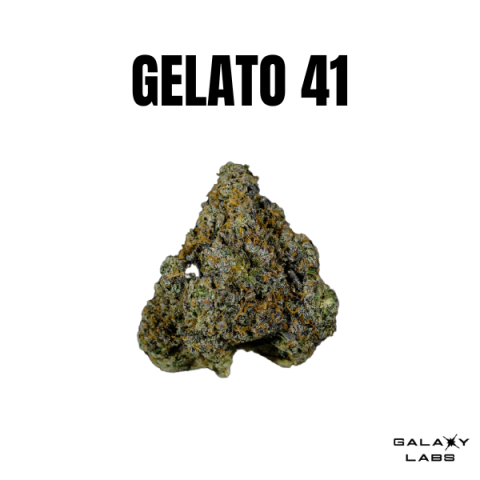 Gelato 41 | Galaxy Labs
