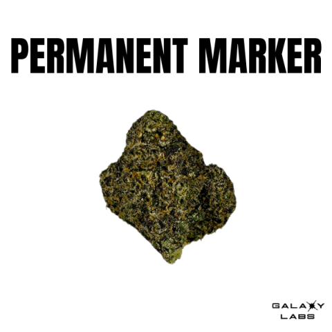 Permanent Marker | Galaxy Labs